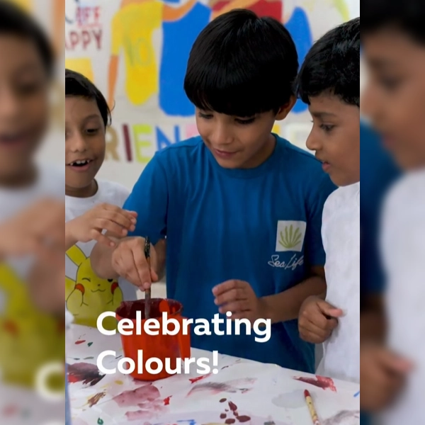 The White School International | Top Residential Schools in Kerala ...